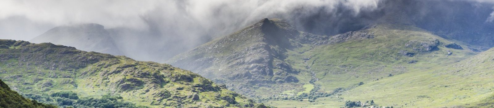 GoGreenSourcing | The essential information portal to provide ...